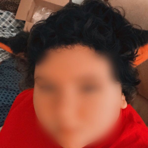 Catra Cosplay Ears and Tail | She-ra and the Princesses of Power ...