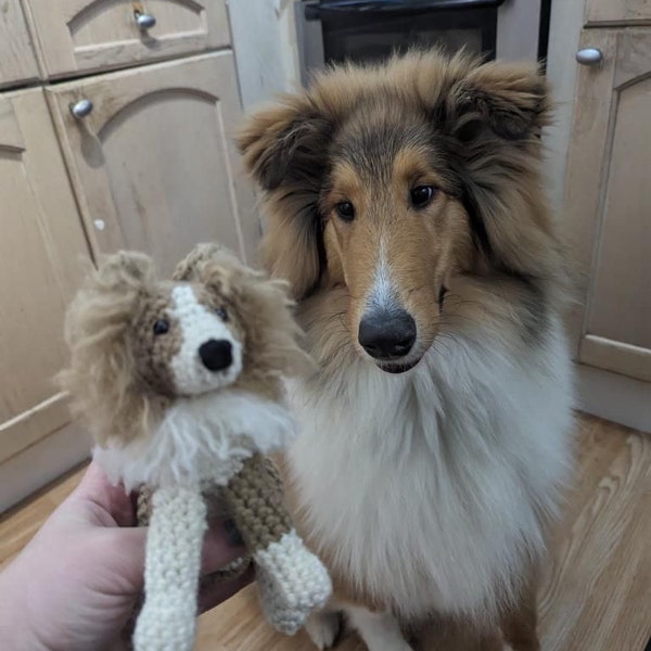 Crochet Pattern for Finnly, Realistic Crochet Border Collie Dog ...