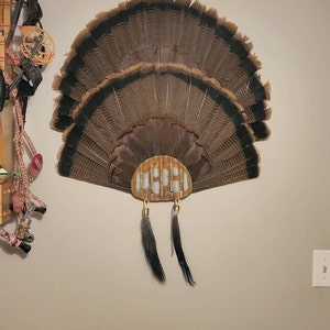 European Skull Mount Table Top Display Made With White Oak - Etsy