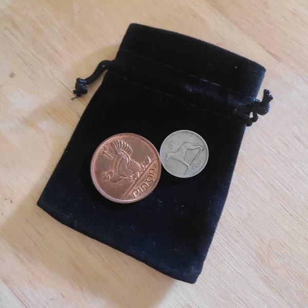Authentic Lucky Irish Wedding Coins A Sixpence and A Penny in A Plush ...