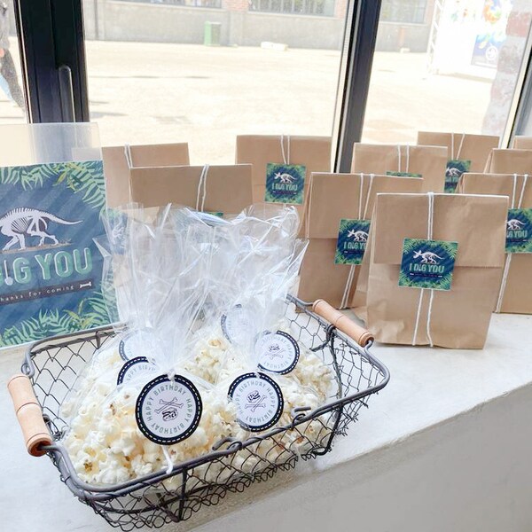 Dinosaur Party Signs, Herbivore Sign, Dinosaur Dig Birthday, Birthday ...