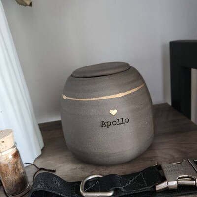 Ceramic Dog Bowls Set With Jute Pet Rug. Modern Pet Bowls With Dog Food ...