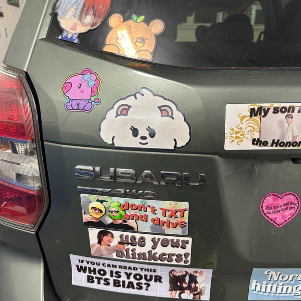 Skzoo Peeker Stickers Kpop Stickers Kpop Inspired Stickers Holographic ...