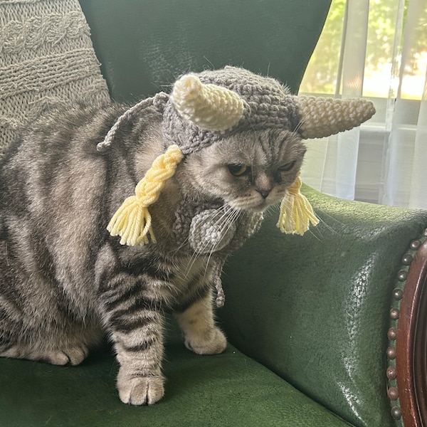 Brunhilde, Vikings, Valkyries, Wagner Opera, Hats for Cats, Pet Hats ...