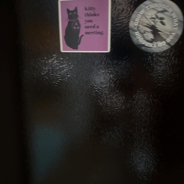 Black Cat AA Medallion Tshirt Alcoholics Anonymous Recovery Sponsor ...