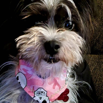 Skull Candle Occult Toad Raven Skull Skeleton Key Print Incense Bag ...