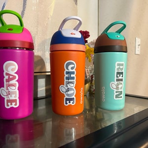 NASA Pink Worm Sticker Laptop Sticker, Water Bottle Sticker, Phone ...