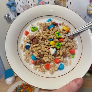 Hanging Faux Food Cereal Wall Art Decor Bespoke Lucky Charms Fruit ...