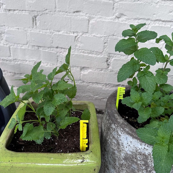 Posterboard Backdrop Bracket Stands 2 Pack | 3D Print Tabletop Backdrop ...