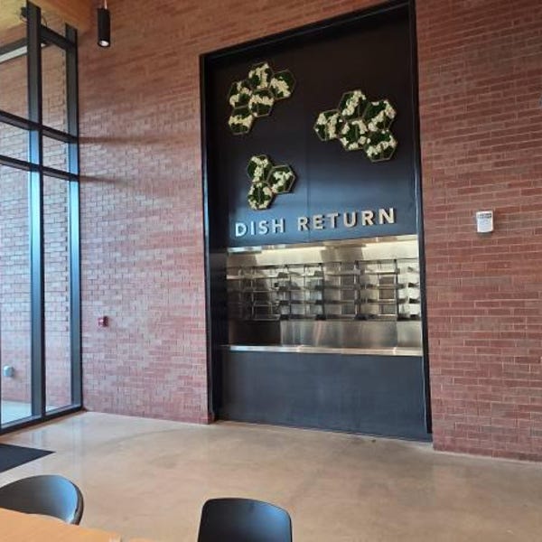 Moos Wandkunst Bienenwabe | Vier Größen, 5 x 6 Zoll, 8 x 9 Zoll, 10 x ...