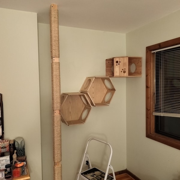 Cat Pole! Cats Can Climb From Floor to Ceiling for Play and Exercise ...