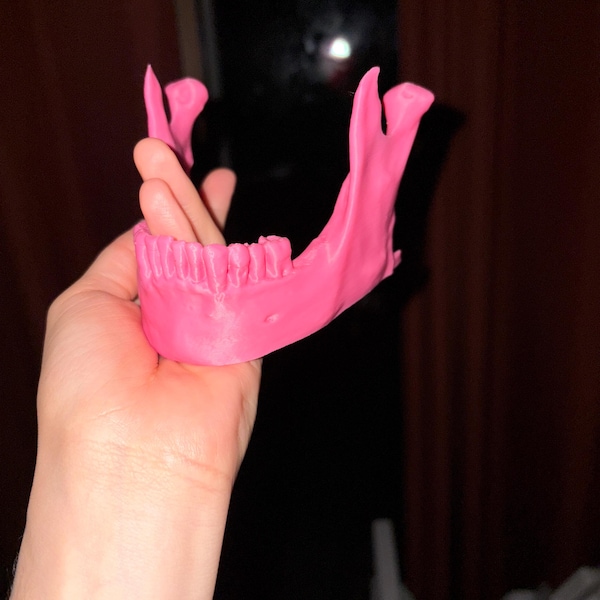 Jaw Phone Stand - Etsy