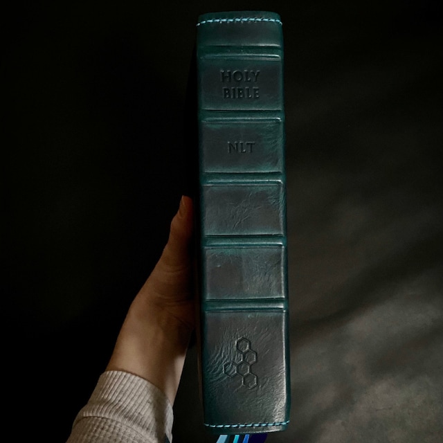 Honeycombbookbinding - Etsy