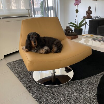 Waverly Classic Ticking in Denim Color. Blue and White. Suitable for ...