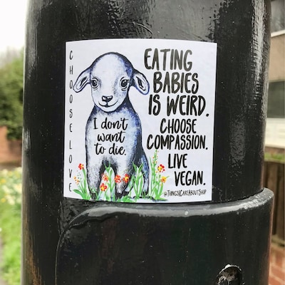 The Angry Vegan Colouring Book and Journal for Adults Vegan Activism ...