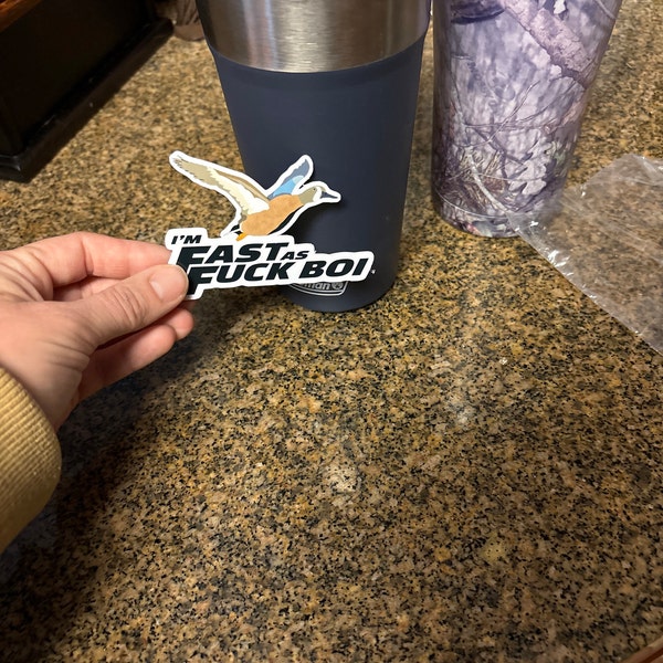 Im Fast as F* Boi Blue Wing Teal Duck Sticker - Etsy