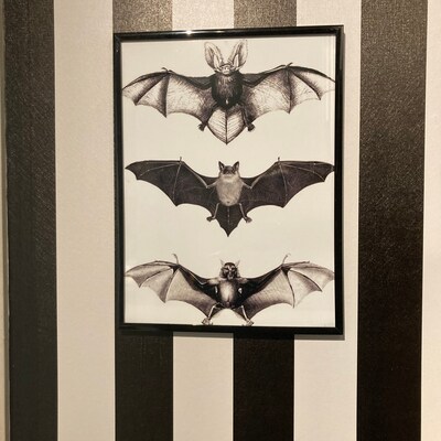 Halloween Art Vintage Bats Gothic Art Download Digital - Etsy