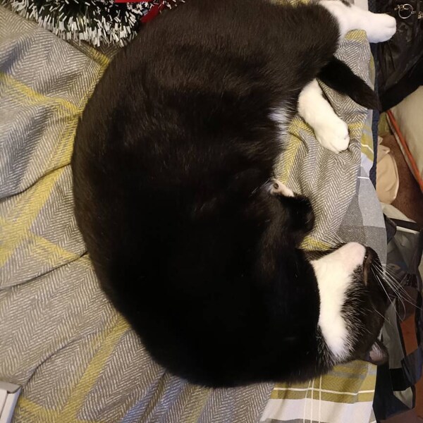 Sleep Well Gift Box /relaxation Pamper Box /wellbeing Letterbox Gift ...