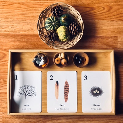 Nature Number Cards Charlotte Mason Homeschool Printables Spring ...