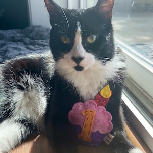 Bomb Pop Cat Toy Organic Catnip Wool-blend Felt - Etsy