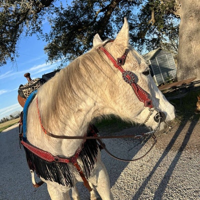 Turquoise/ Mint and Orange Beaded Overlay on Cut-out Medium Leather ...