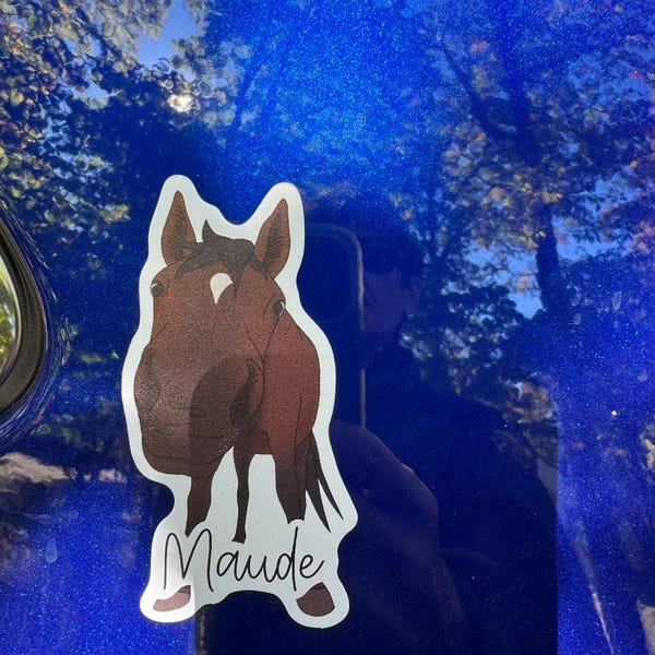 Fully Editable Horse Stall ID and Feeding Schedule Cards Canva Template ...