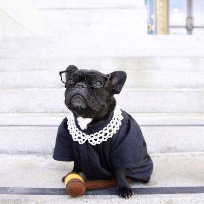 Squeaky Gavel Dog Toy - Etsy