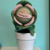 PATTERN ONLY Baby Audrey II Plant Crochet Pattern Little Shop of ...