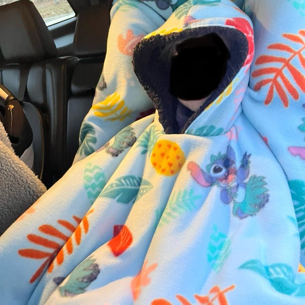 Car Seat Poncho, Horses Hooded Poncho, Birthday Gift, Christmas Present ...