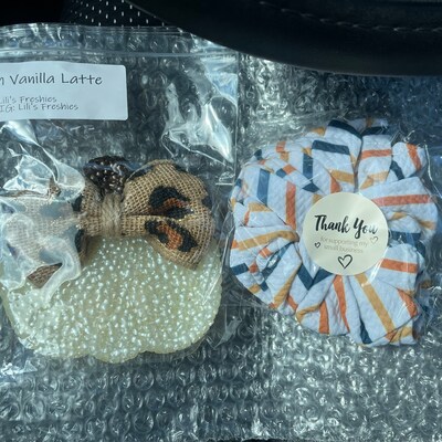 Fall Theme Freshies - Etsy