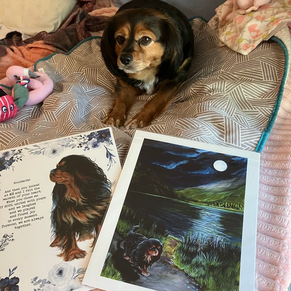 LARGE Print Cavalier King Charles Spaniel, 13 X 19 Art Print by ...