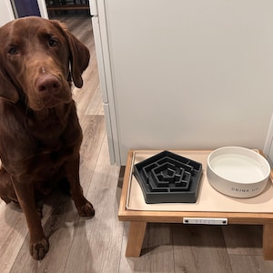 Tall Bowl Stand Elevated Dog Bowl Feeder Raised Dog Feeder Dog Lick Mat ...