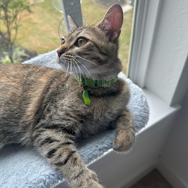 Fish Cat Collar With Bell and Charm, Cute Boy Cat Breakaway Collar ...