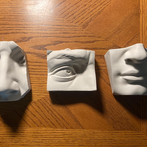 Eye of David Plaster Cast Art Reference, Handmade Sculpture for Artists ...