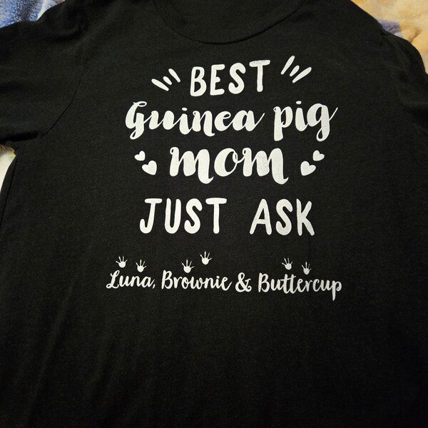 Personalized Pet Sitter Shirt - Custom Pet Sitting Tee - Dog Walking ...