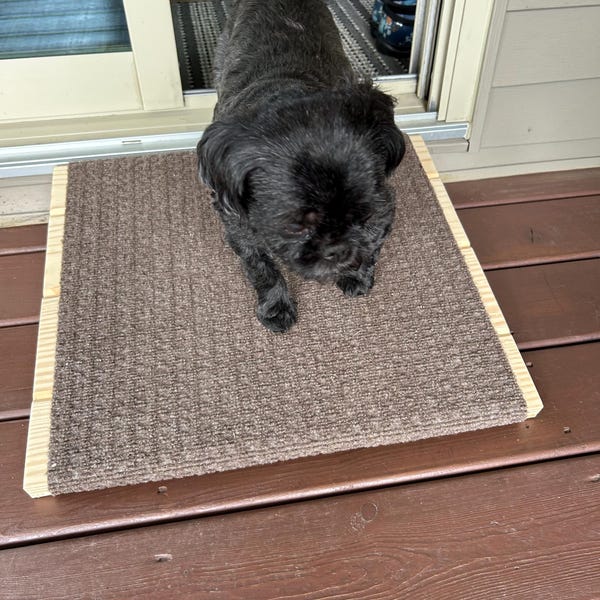 Pet, Dog or Cat Ramp. Great Ramp to Get Your Pets on or off Your Bed ...