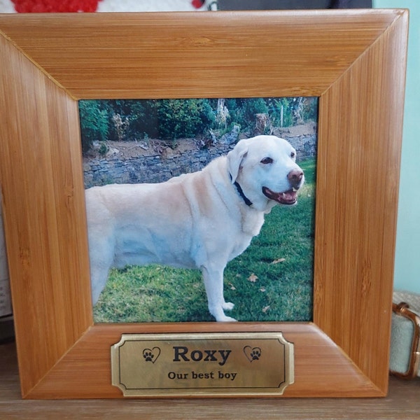 Brass Name Plate Engraved Brushed, Pet Memorial Plate, Plaque, Custom ...