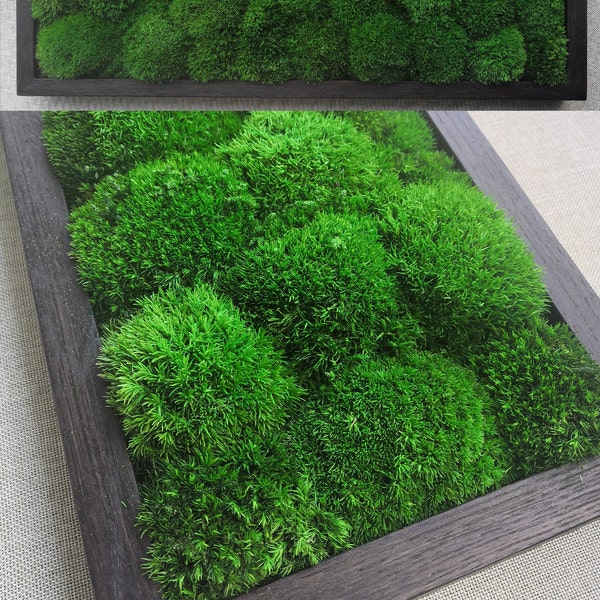 Moss Picture Ball Moss Solid Wood Frame Oiled Oak Moss Landscape - Etsy