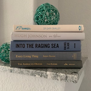 Pink Shabby Chic Decorative Book Set - Etsy