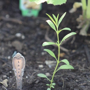 First Birthday Spoon I Am One Star Wars Theme I Am Obi Wan | Etsy