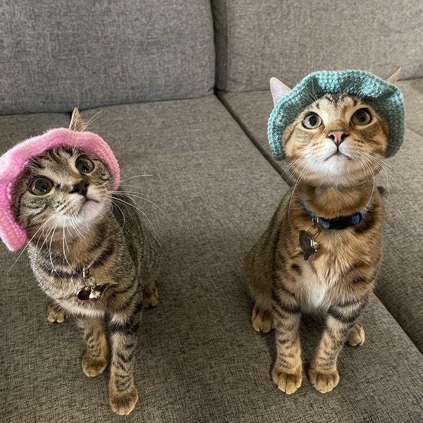 Summer Hat for Cat, Red Brim Kitty Hat, Flower Hats for Cats, Cat ...