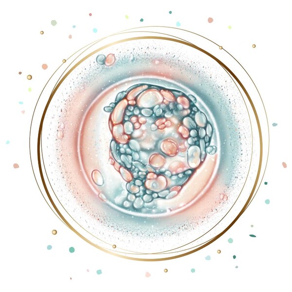 Custom IVF Embryo Watercolor Art Personalized Unique IVF Embryo, IVF ...