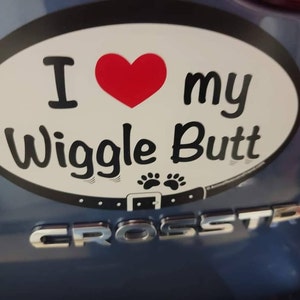 VEHICLE SIGN Animal Rescue in Progress 17x11.5 Oval - Etsy