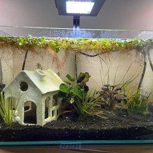 Aquarium Decor Handmade, Small Fish Hide, Ceramic Decor, Aquarium ...