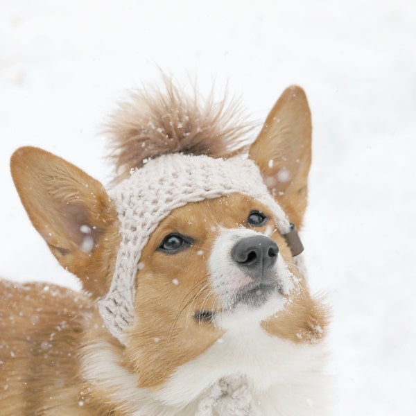 Corgi Beanie Dog Beanie Corgi Hats Dog Hat Dog Beanie Fur Baby Beanies ...