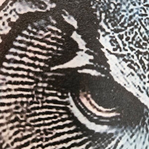 Decoupage A4 Image Rice or Washi Paper Free Shipping Moose - Etsy