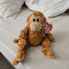 Ty Beanie Boo 'jade' the Fox Great Wolf Lodge Exclusive medium 9.5 Inch ...