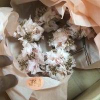 Lunaria Crown/ Dried Honesty/ Boho Flower Crown/ Dried Flower / Crown ...