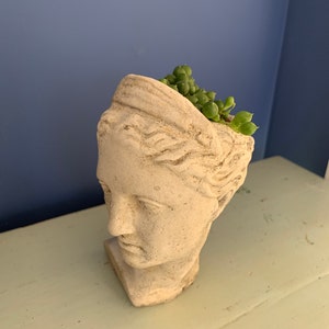 Diana Head & Neck Pot - Etsy