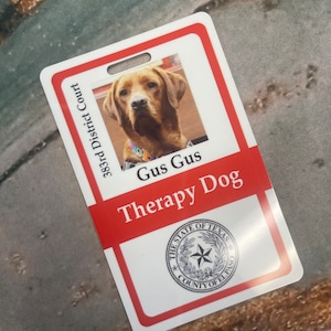 Texas Driver Dog Id Tag Personalized License, Durable Dog Tag, Double ...